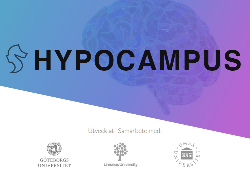 Hypocampus Hypocampus